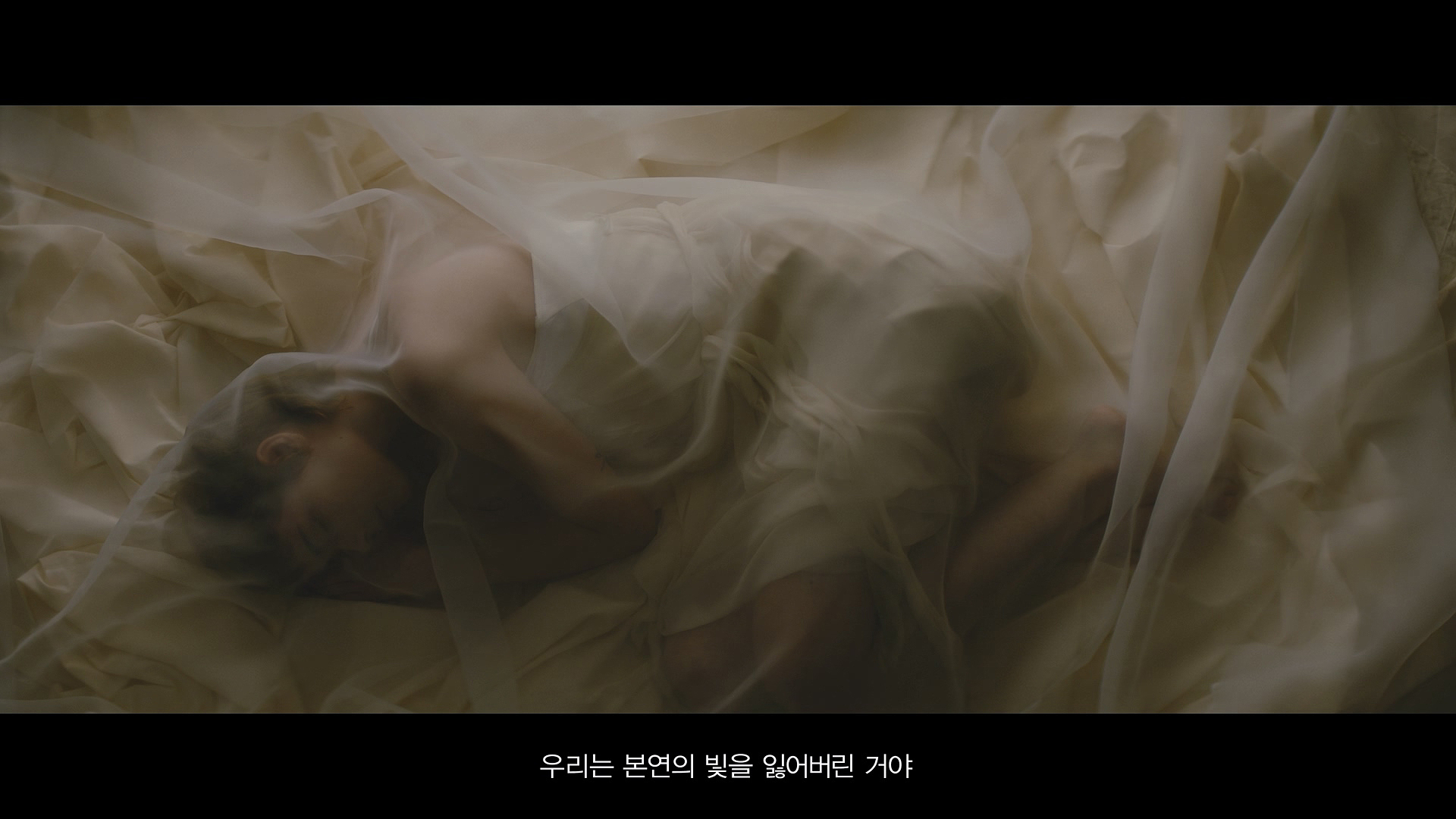 SolidVFX | INCELLDERM